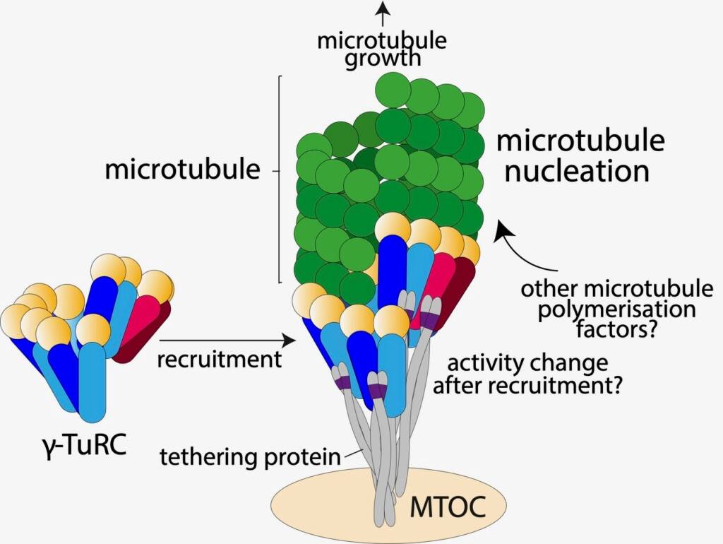Conduit Lab - Institut Jacques Monod