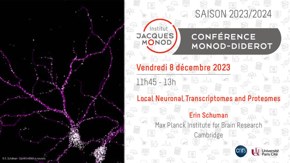 Conférence Monod-Diderot - Erin Schuman - 08/12/2023 - Institut Jacques ...
