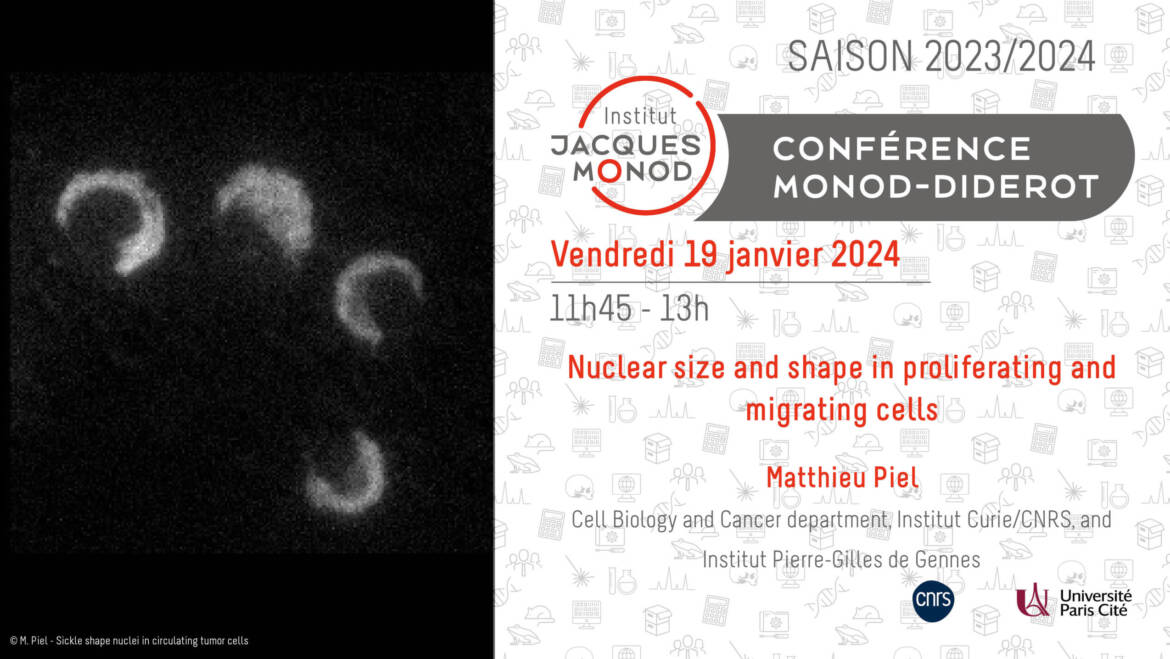 Conférence Monod-Diderot - Matthieu Piel - 19/01/2024 - Institut ...