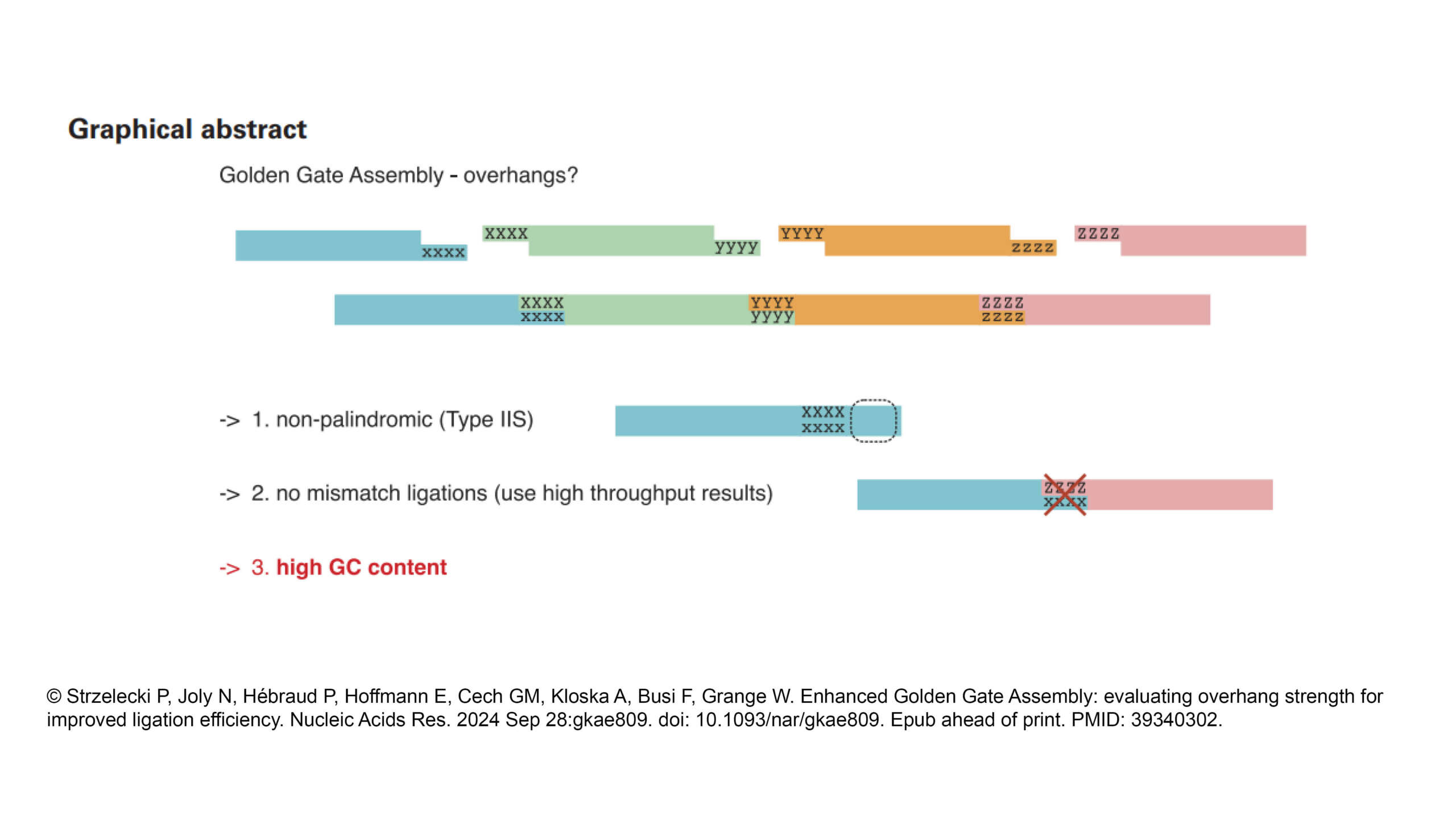 Pintard Lab - Enhanced Golden Gate Assembly: evaluating overhang ...