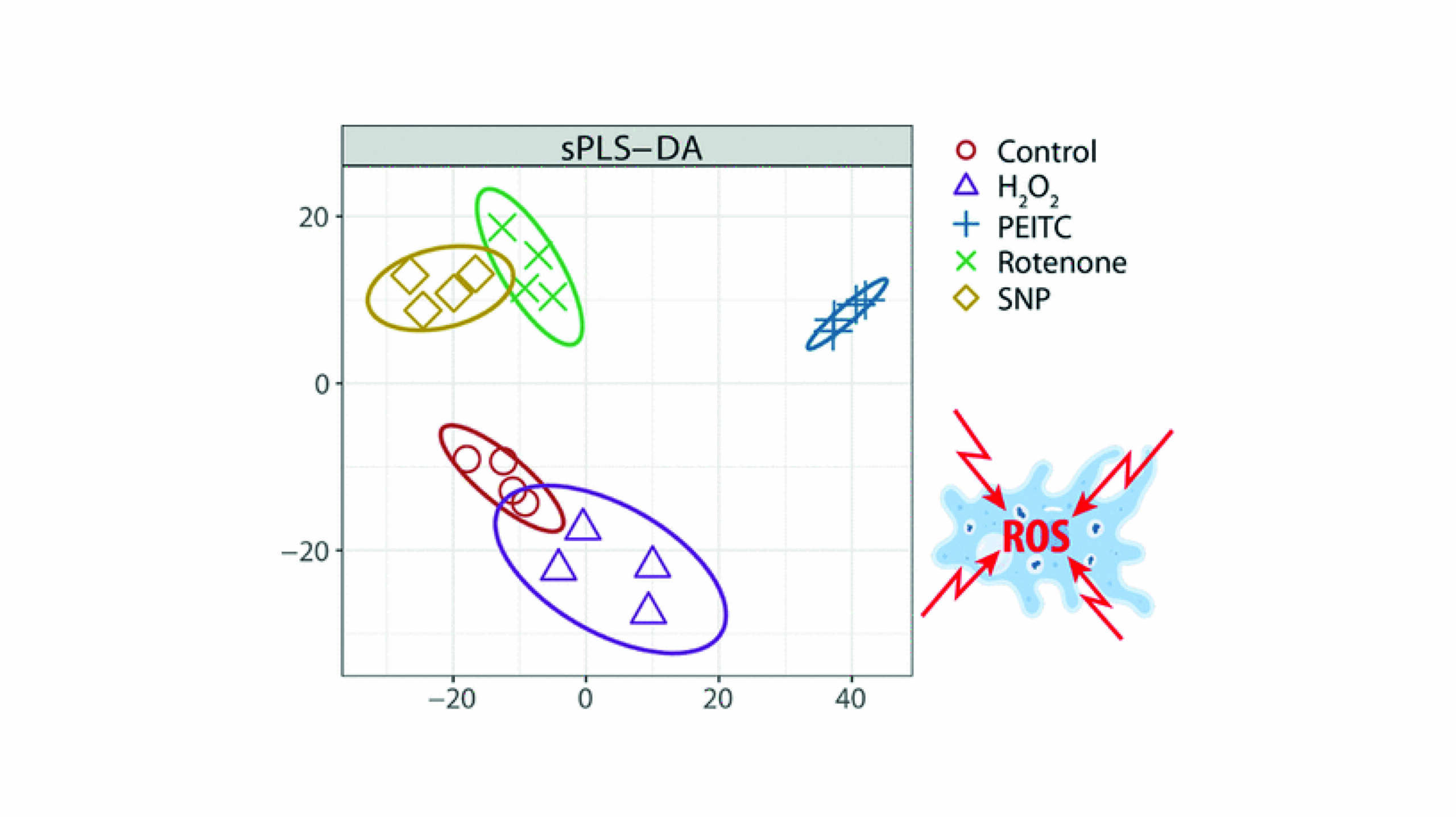 Protéoseine - Molecular Mechanisms of Acanthamoeba castellanii Response ...