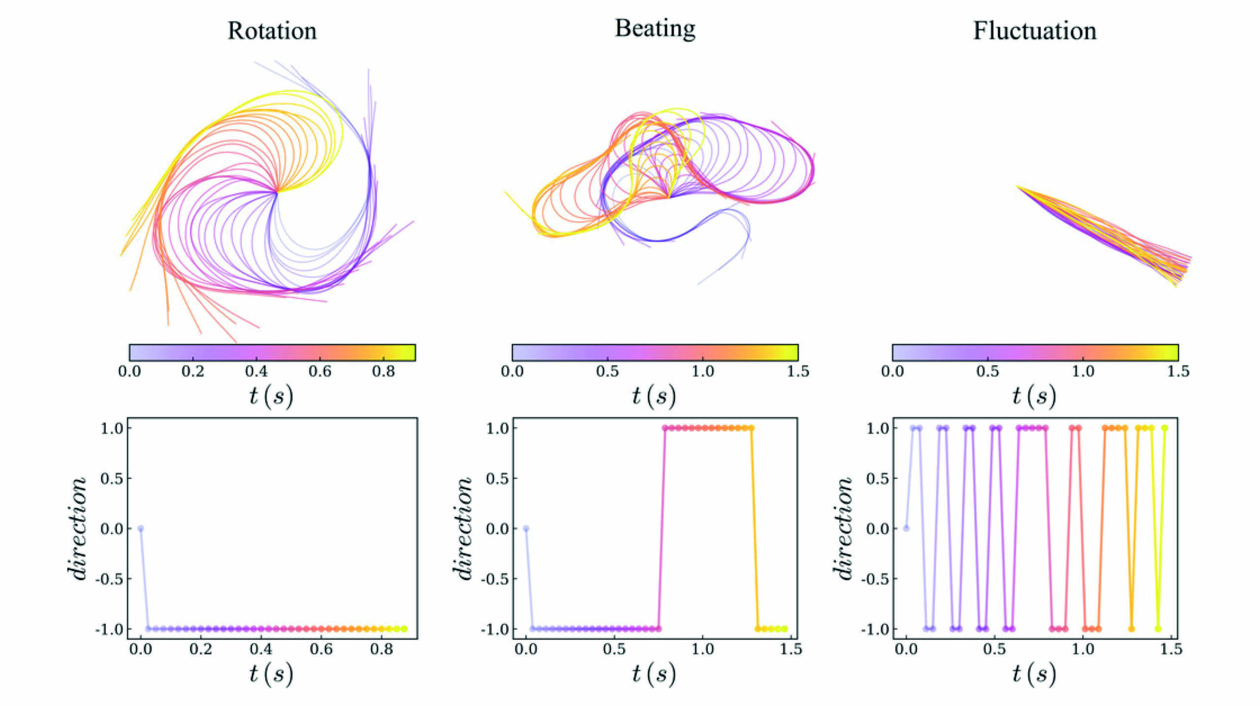 Minc Lab - Dynamic clamping induces rotation-to-beating transition of ...
