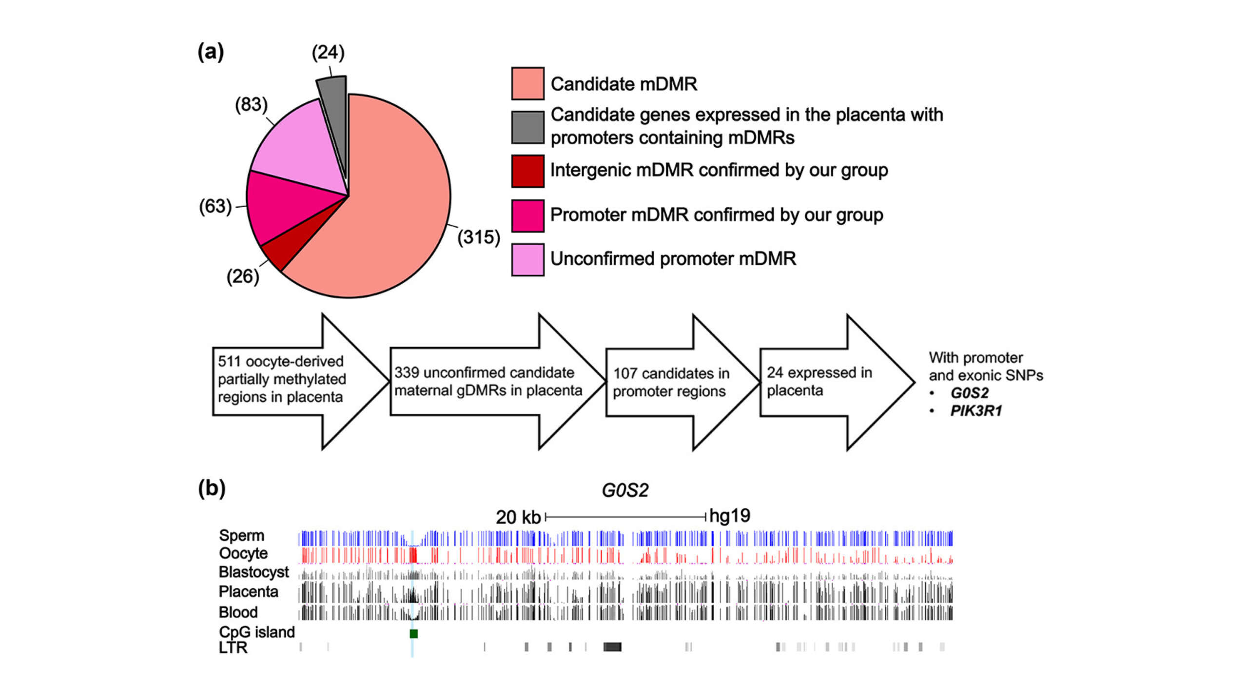 Greenberg Lab - PIK3R1 and G0S2 are human placenta-specific imprinted ...