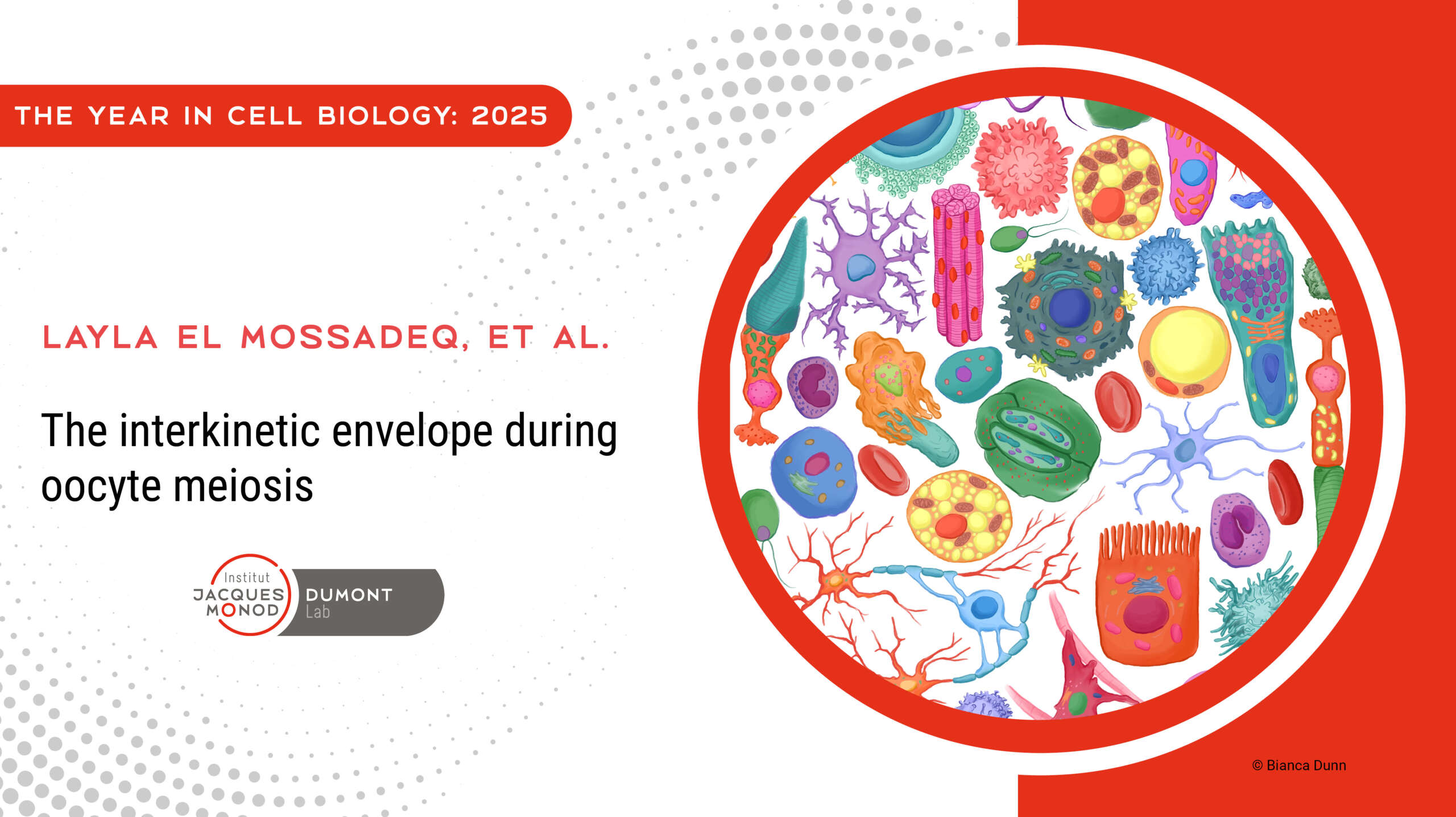 The Year in Cell Biology 2025 - Layla El Mossadeq et al. - Institut ...