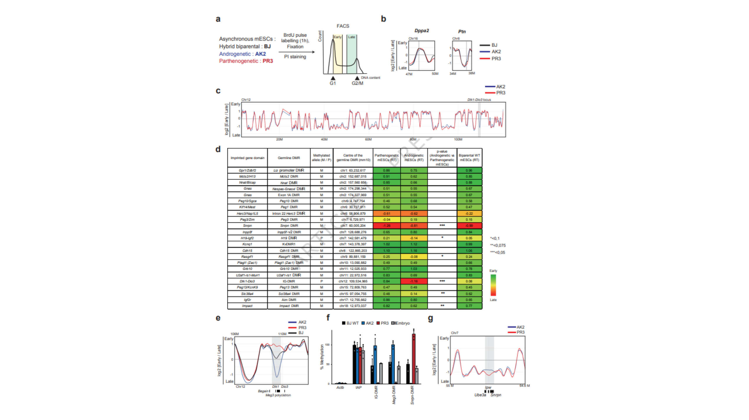 Cadoret Lab - DNA methylation and lncRNA control asynchronous DNA ...